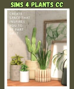 23+ Relaxing Sims 4 Plants CC (Flowers, Potted Plants, Succulents, & More)