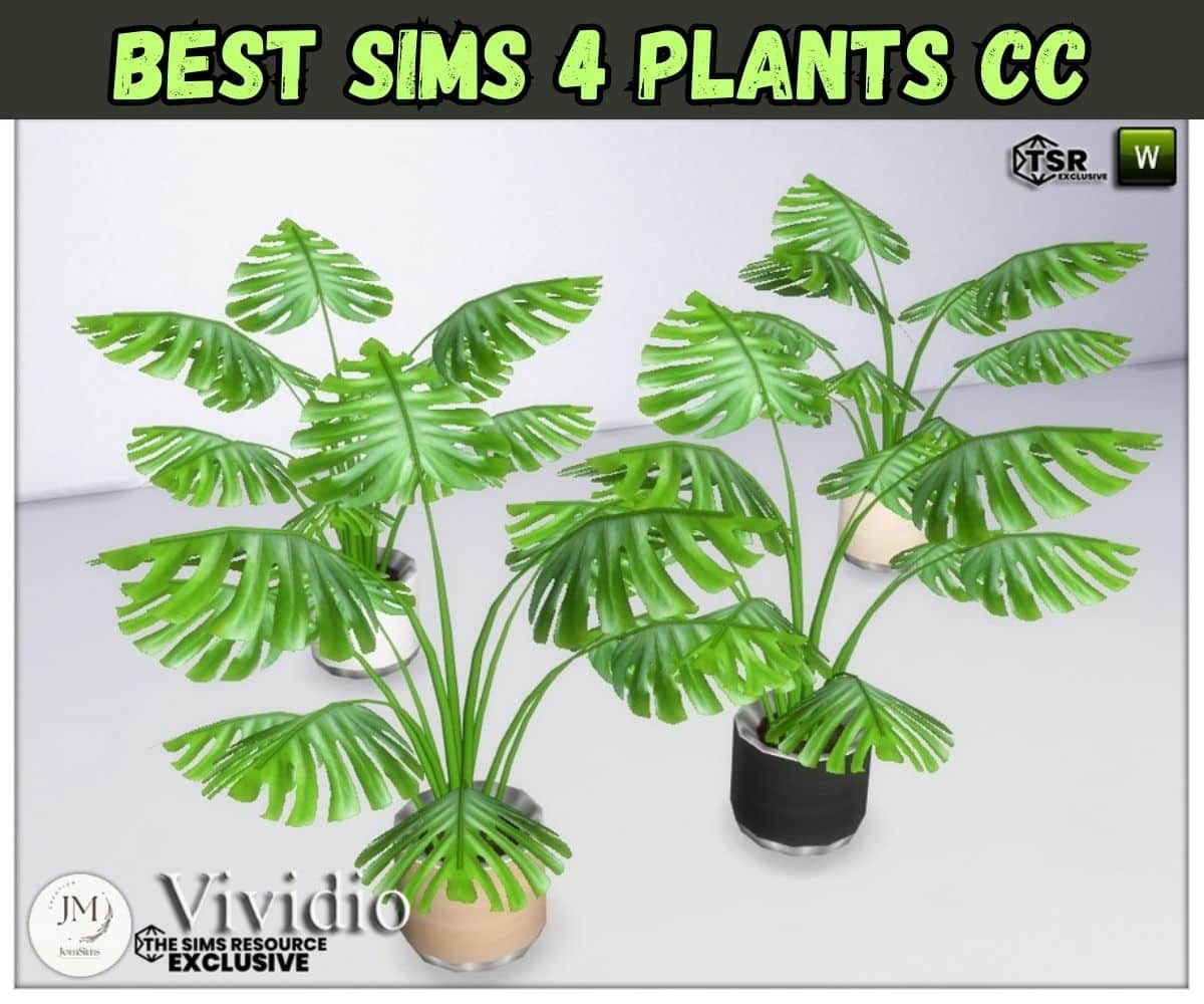 23+ Relaxing Sims 4 Plants CC (Flowers, Potted Plants, Succulents, & More)
